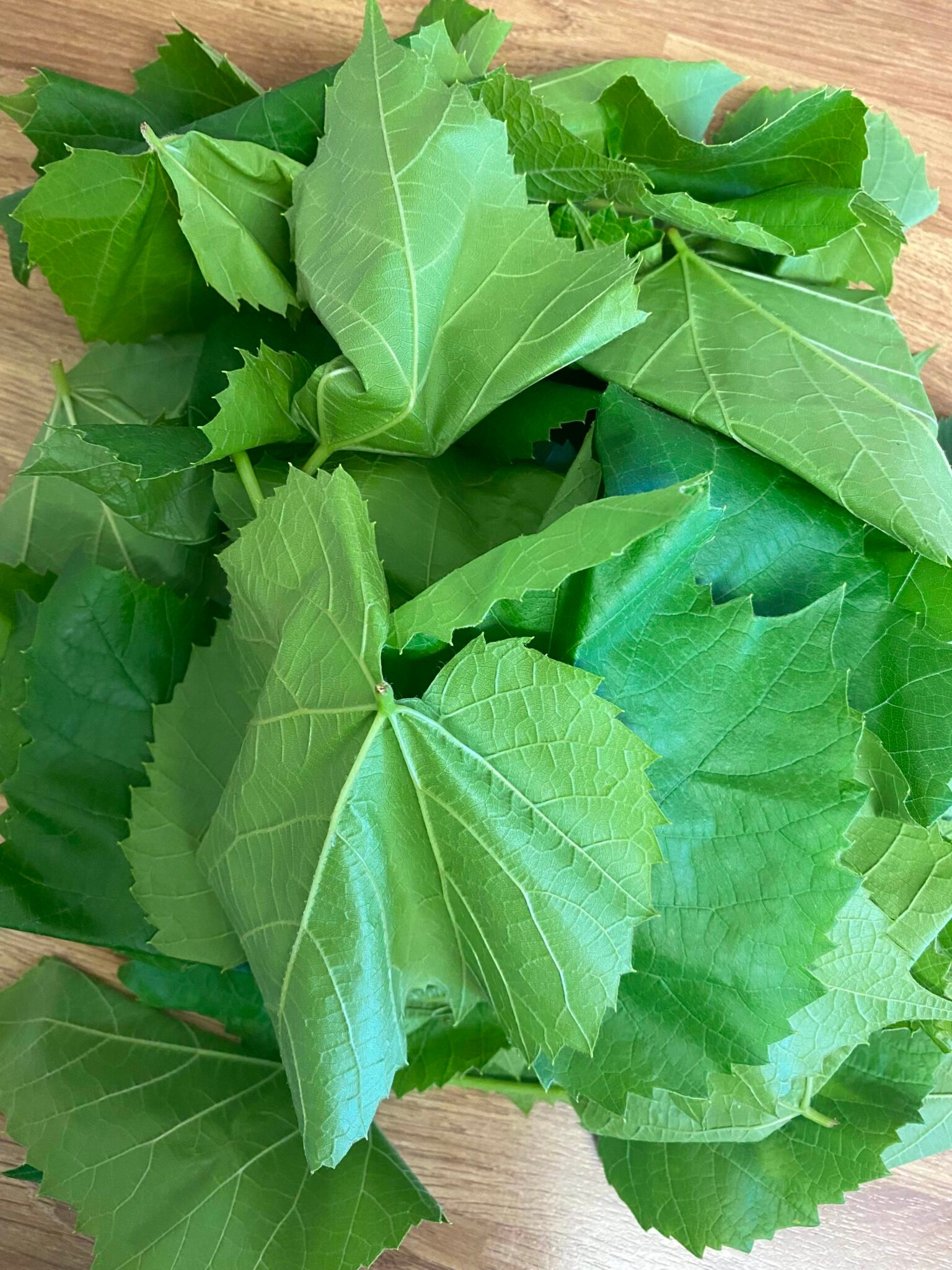Vegan Stuffed Vine Leaves (Sarma)