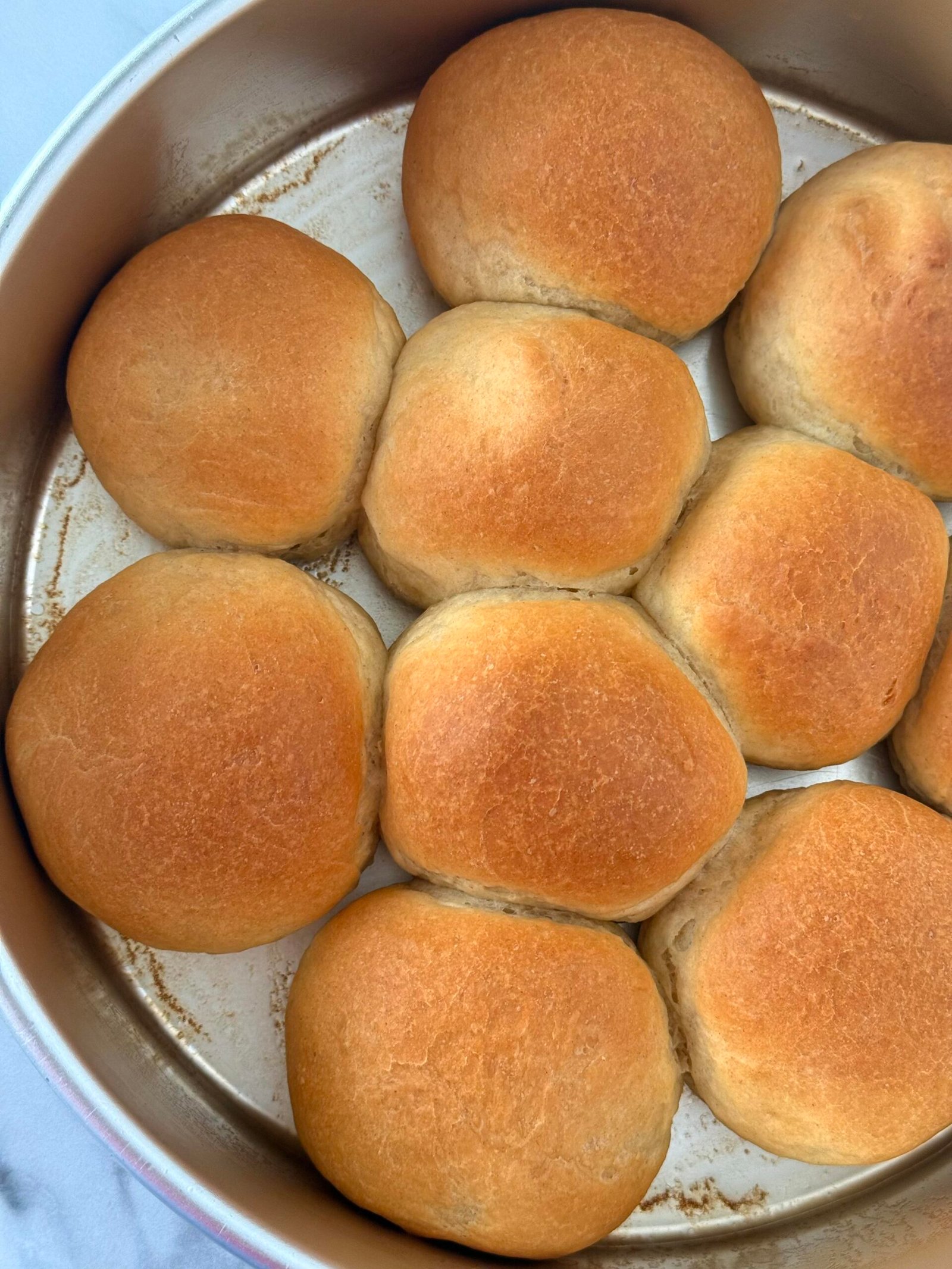 Homemade Soft Bread Rolls