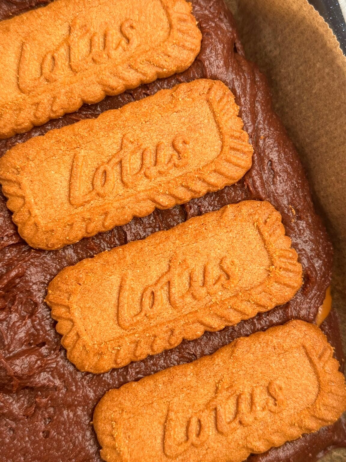 Fudgy and Gooey Biscoff Brownies